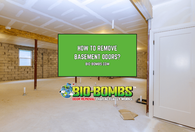 Musty Basement Smells? Here’s What’s Really Going On (and How to Fix I ...